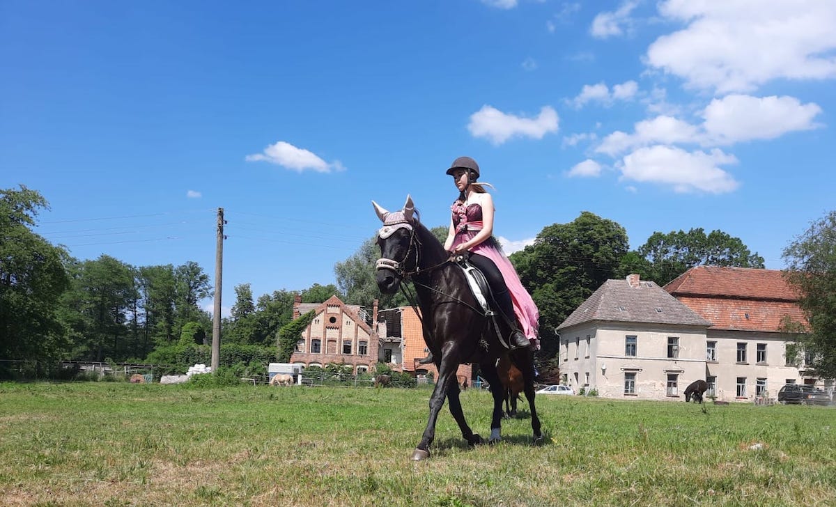 MidsummerRemise at Neuhoff Castle