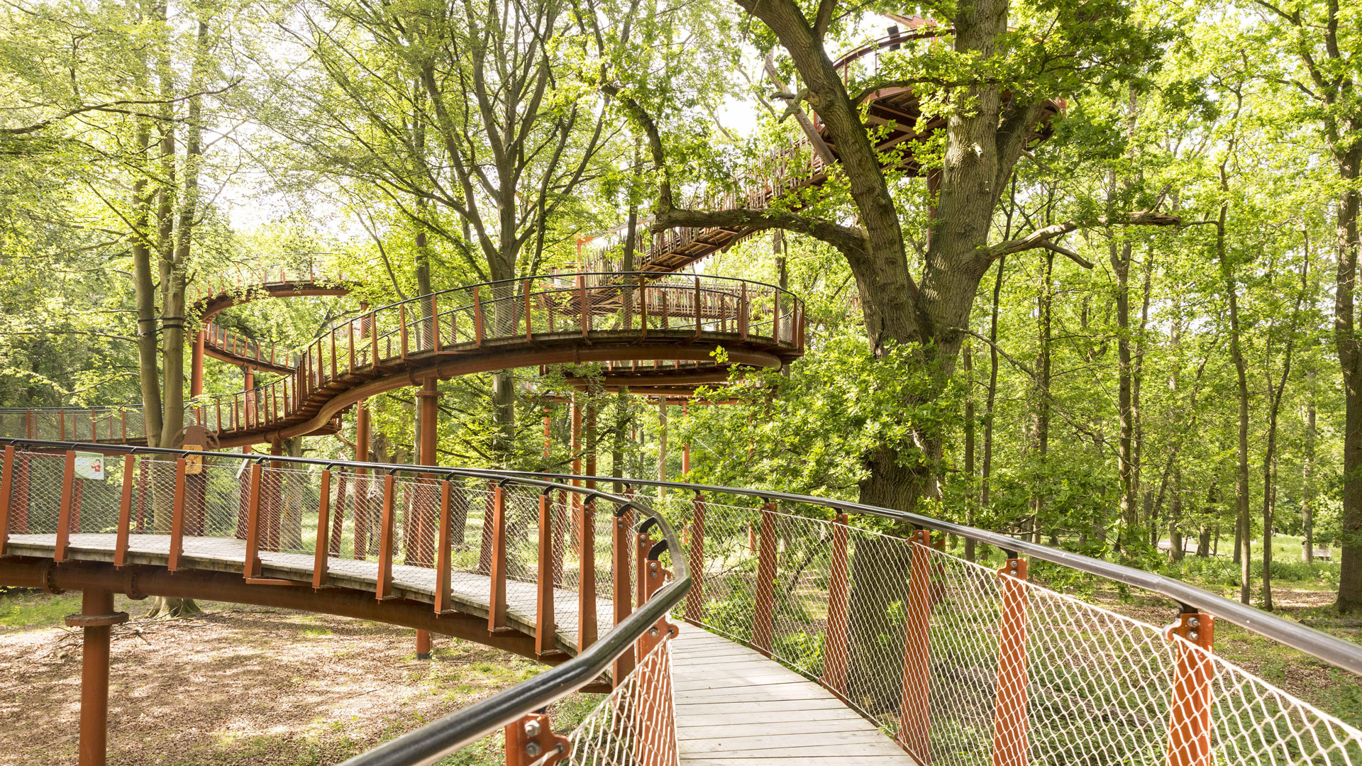 Treetop path Ivenacker oaks