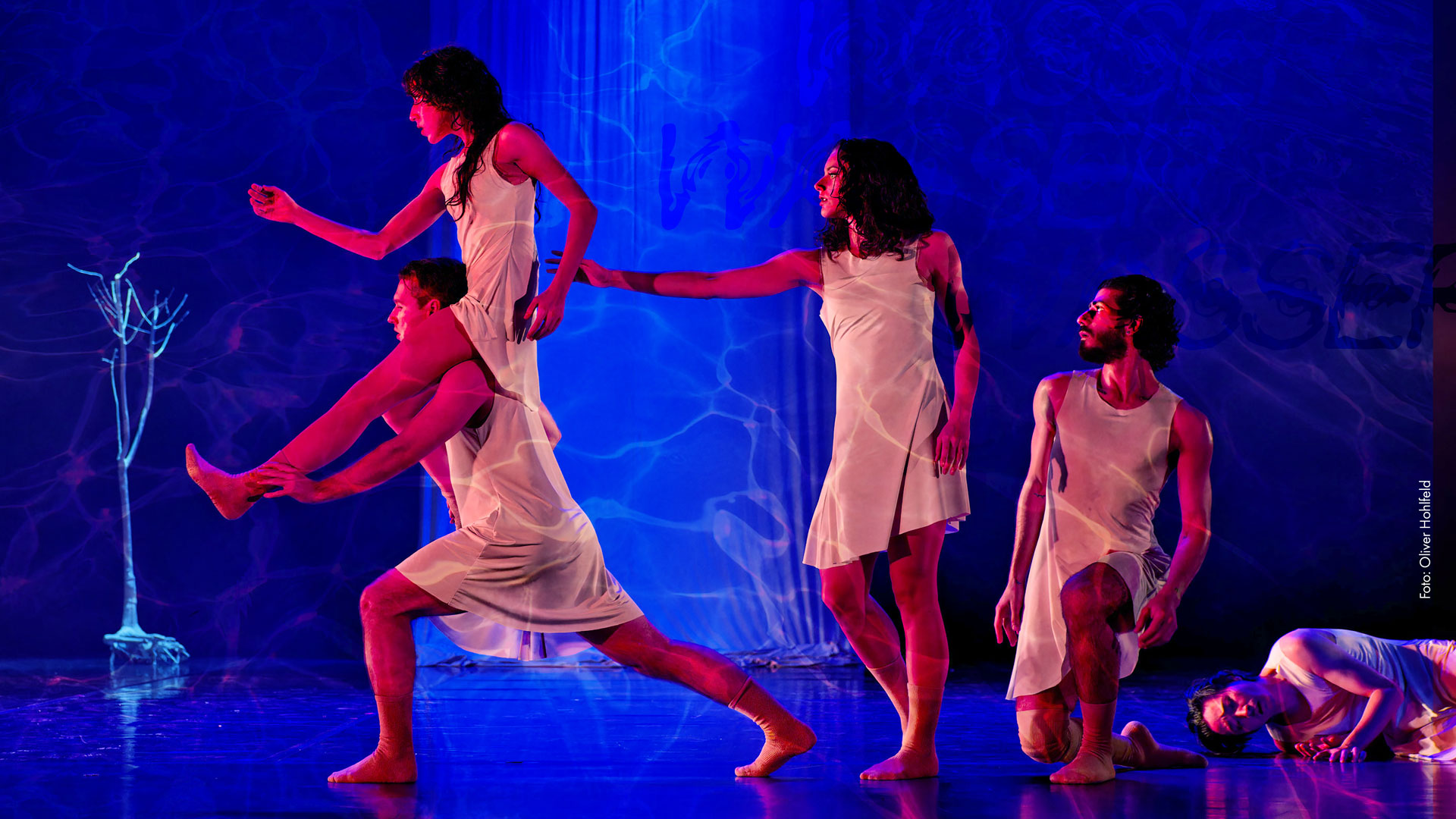 "Tanzfest 2024!" by the German Dance Company