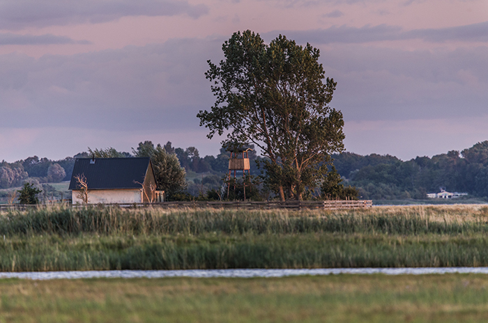Kirr bird sanctuary island
