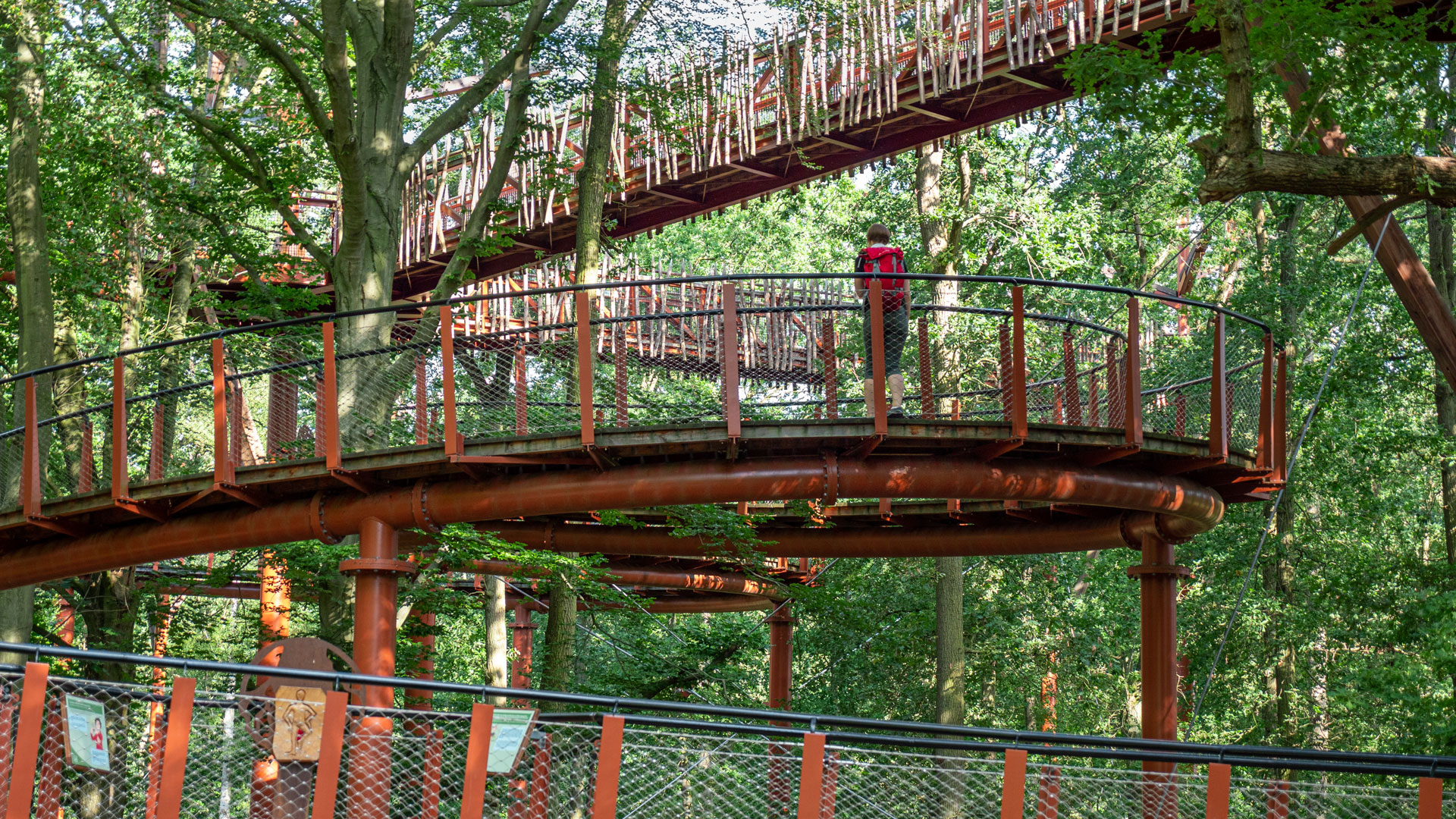 Baumkronenpfad Ivenacker Eichen