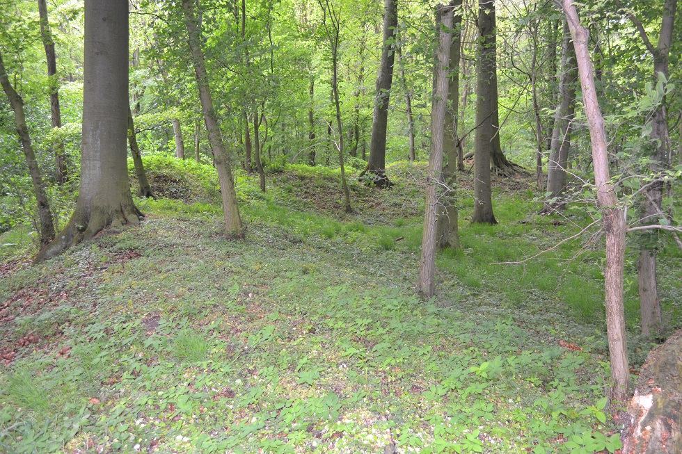 Swedish Redoubt - Slavic High Castle