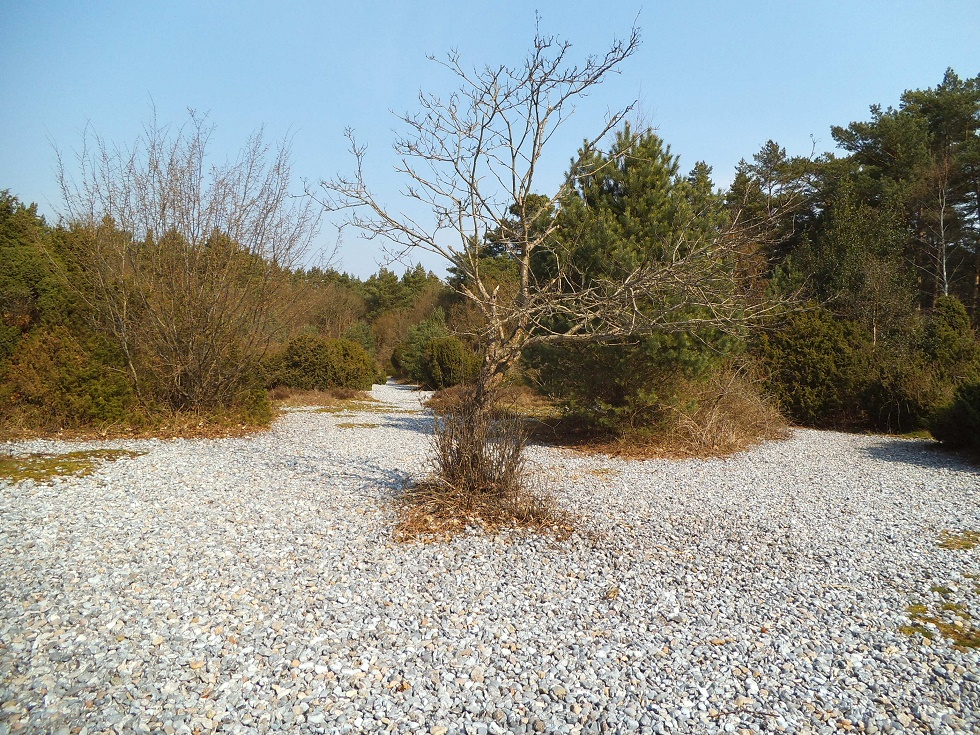 Flint fields in the nature reserve Schmale Heide