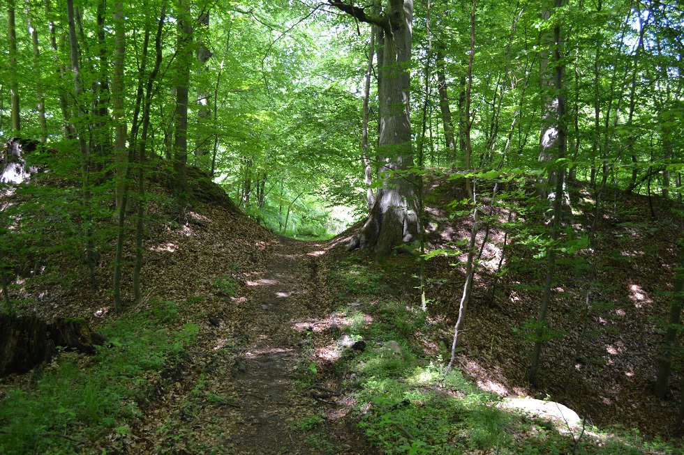 Lieper Castle - Slavic Castle